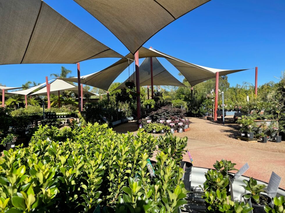 Riverside Gardens | Nursery Garden Centre - Gift Shop - Laugh a Lot ...