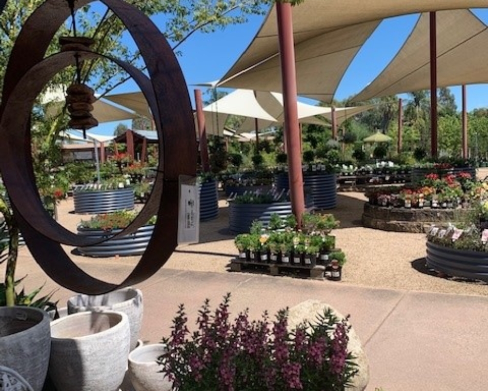 Riverside Gardens | Nursery Garden Centre - Gift Shop - Laugh a Lot ...